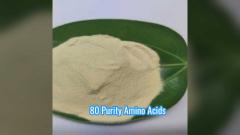 80 Purity Amino Acid Pharma Grade Supplement