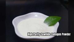 Premium Cowhide Collagen Peptide Powder for Food Industry