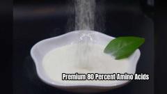High Quality Hydrolyzed Amino Acid Powder 80 Percent