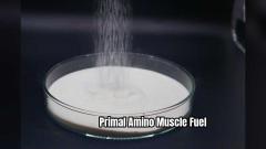 Primal Animal Amino Muscle Growth Recovery