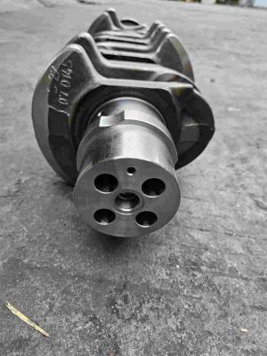Cina 04256816 Volvo Motor Crankshaft D5e Acciaio forgiato di alta qualità munito di ingranaggi in vendita