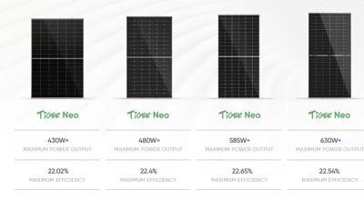 Cina TOPCON N-Type Mono Half Double Glass 500w Bifacial Solar Panel con 500w di potenza in vendita