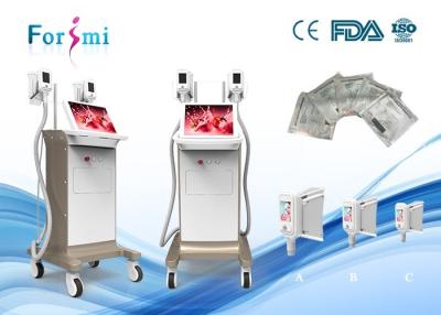 China 1800W power fat removal cellulite machine on sale promotion 2 cryo handles working together 15 inch touch screen for sale