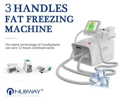 China professional cryolipolysis fat freezing machine home device fat freeze with ce&ISO for sale