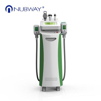 China Fat Freeze slimm best seller  5 heads cryolipolysis slimming lipolaser fat frezzing machine Cryo Handles can work at sam for sale
