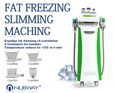 China Fat Freeze slimm best seller  5 heads cryolipolysis slimming lipolaser fat frezzing machine Cryo Handles can work at sam for sale