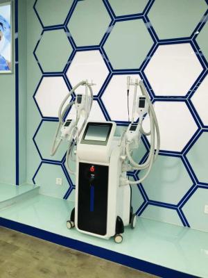 China 4 handles simultaneous powerful fat reduction cryolipolysis cool shaping machine for clinic use for sale