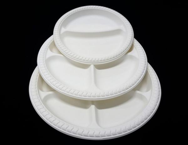 Quality Audit ISO 9001 Certified Disposable Plates and Cutlery for Sustainable for sale