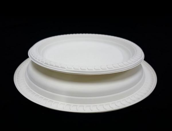 Quality Audit ISO 9001 Certified Disposable Plates and Cutlery for Sustainable for sale