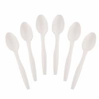 China PLA cornstarch buffets for events eco friendly compostable biodegradable cutlery set for sale