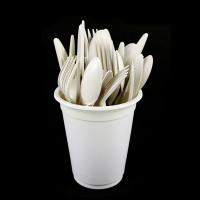 China Novelty Design Corn-Based Biodegradable Plate Set with Environment-Friendly Advantage for sale