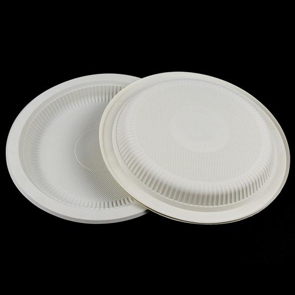 Quality Novelty Design Corn-Based Biodegradable Plate Set with Environment-Friendly for sale