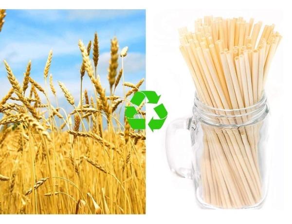 Quality 3-5mm Diameter Wheat Straws The Eco-Friendly Must-Have for Cafes and Coffee for sale