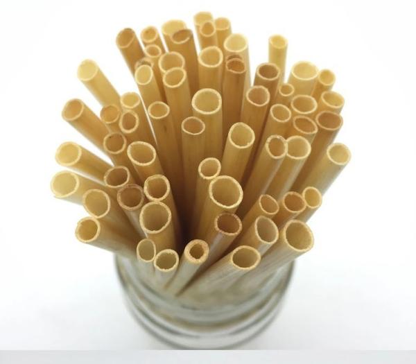 Quality Say Goodbye to Plastic Straws and Hello to Wheat Drinking Straws Eco Friendly for sale