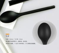 China Household Black Flatware Cutlery Set with Disposable Spoon and Plastic Flatware for sale