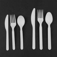 China Flatware Biodegradable Cpla Fork and Tea Spoon Knife for Everyday Eco-Friendly Dining for sale