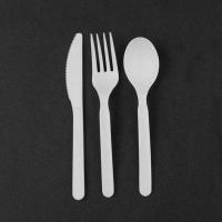 China Flatware Biodegradable Cpla Fork and Tea Spoon Knife for Everyday Eco-Friendly Dining for sale