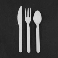 China Flatware Biodegradable Cpla Fork and Tea Spoon Knife for Everyday Eco-Friendly Dining for sale