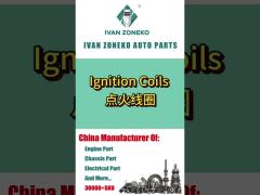 Ivan Zoneko- Ignition Coil