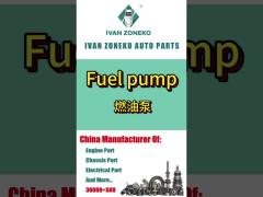 Ivan Zoneko - Pompa di carburante