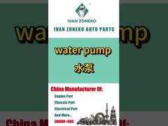 Ivan Zoneko - Pompa d‘acqua