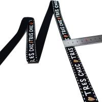 China Custom Design Printed Nylon Elastic Webbing For Garment for sale
