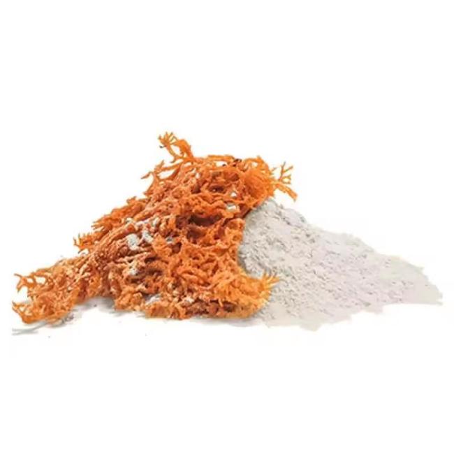 Hot Selling Carrageenan Food Thickeners E407 9000-07-1 Kappa Refined Carrageenan Powder