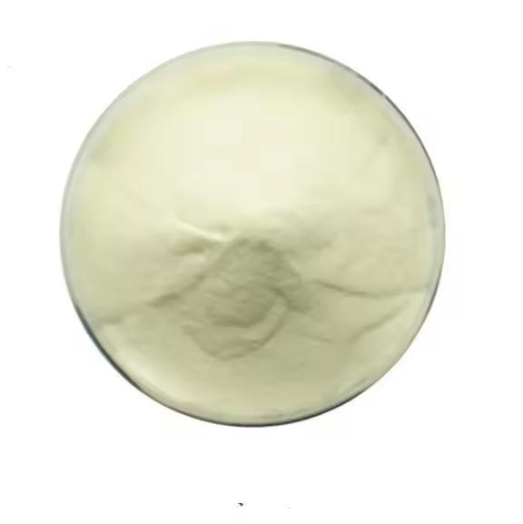 Vitamins a Food Additives Retinyl Palmitate with CAS79-81-2 Vitamin a Palmitate Powder