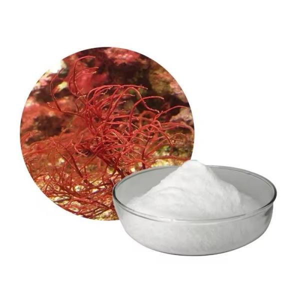 Quality Factory Supply Carrageenan for Food Grade for Pet Food for Sale for sale
