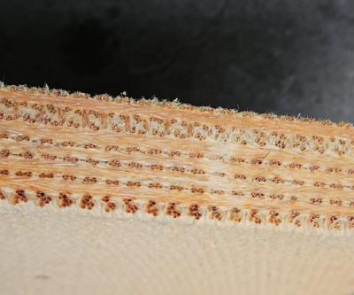 Chine Brass Wire Reinforced Brake Blocks Wire Woven Brake Block Material for Oil Well à vendre