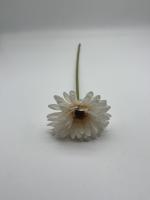 China Artificial plants for sale