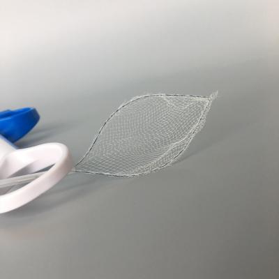 China Endoscopic Disposable loop net for foreign body retrieval for sale