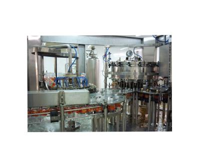 Cina Linea avanzata di produzione di acqua minerale per la pulizia di bottiglie da 250-600 ml in vendita