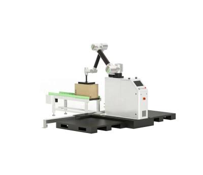 China 1200mm*1200mm Maximum Pallet Size Electric Driven Robot Palletizer for Packaging Bags for sale