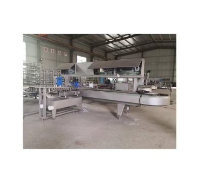 China Polish Mirror Polish Tunnel for Sandwich Ice Cream Machine and Popsicle Production for sale