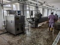 China High Productivity Full Auto Ice Cream Processing Line with Machinery Function for sale