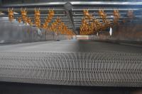 China Depend Machine Capacity Industrial Fruit Jam Jar Cooling Tunnel Pasteurizing Machine for sale