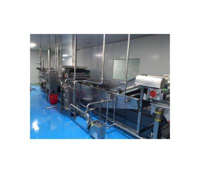 Cina Velocità di sterilizzazione Sterilizzatore a galleria ad immersione idrica personalizzato per la linea di produzione di succhi in vendita