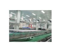 China Apple Pulp Processing Line for Beverage Processing Stainless Steel 304/316 Efficiency for sale