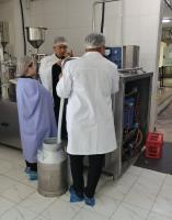 China Food Sanitary Continuous Ice Cream Freezer with Precise 2 4C Input Temperature Control for sale