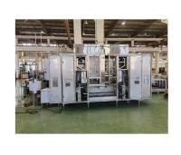 China Automatic Aseptic Plastic Bag Coconut Milk Packing Machine for Milk Processing Line for sale