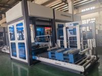 China Customized Voltage SUS304 Palletizing Machine for Fast and Accurate Palletizing for sale