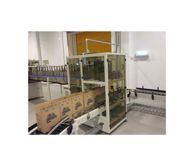 China 100% Vantagem Embalagem automática de embalagem automática para máquinas de embalagem de garrafas à venda