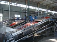 China 1T-1500T/D Tomato Paste Processing Line For Full Automatic And Tomato Sauce Production for sale