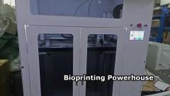 MakerPi K600 Large Fast Dual Extruder 3d Printer