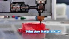 AutoBio 2000 DIW 3D Printer: Print Anything