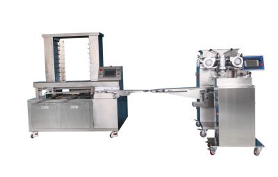 Cina Linea di produzione completa a comando a tocco del biscotto 3000w in vendita