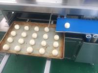 China Panasonic Sensor 380V Kaya Bun Bread Production Line Automatic for sale