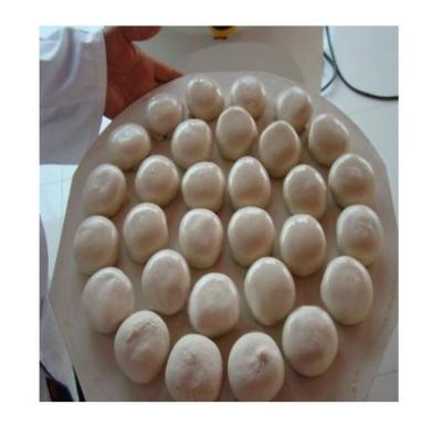 China Half Automatic Dough Divider Rounder Machine With CE Certificate for sale