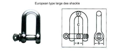 China Hardware Rigging Mooring Painted Shackle and Drop Forged Screw Pin Anchor Shackle for sale